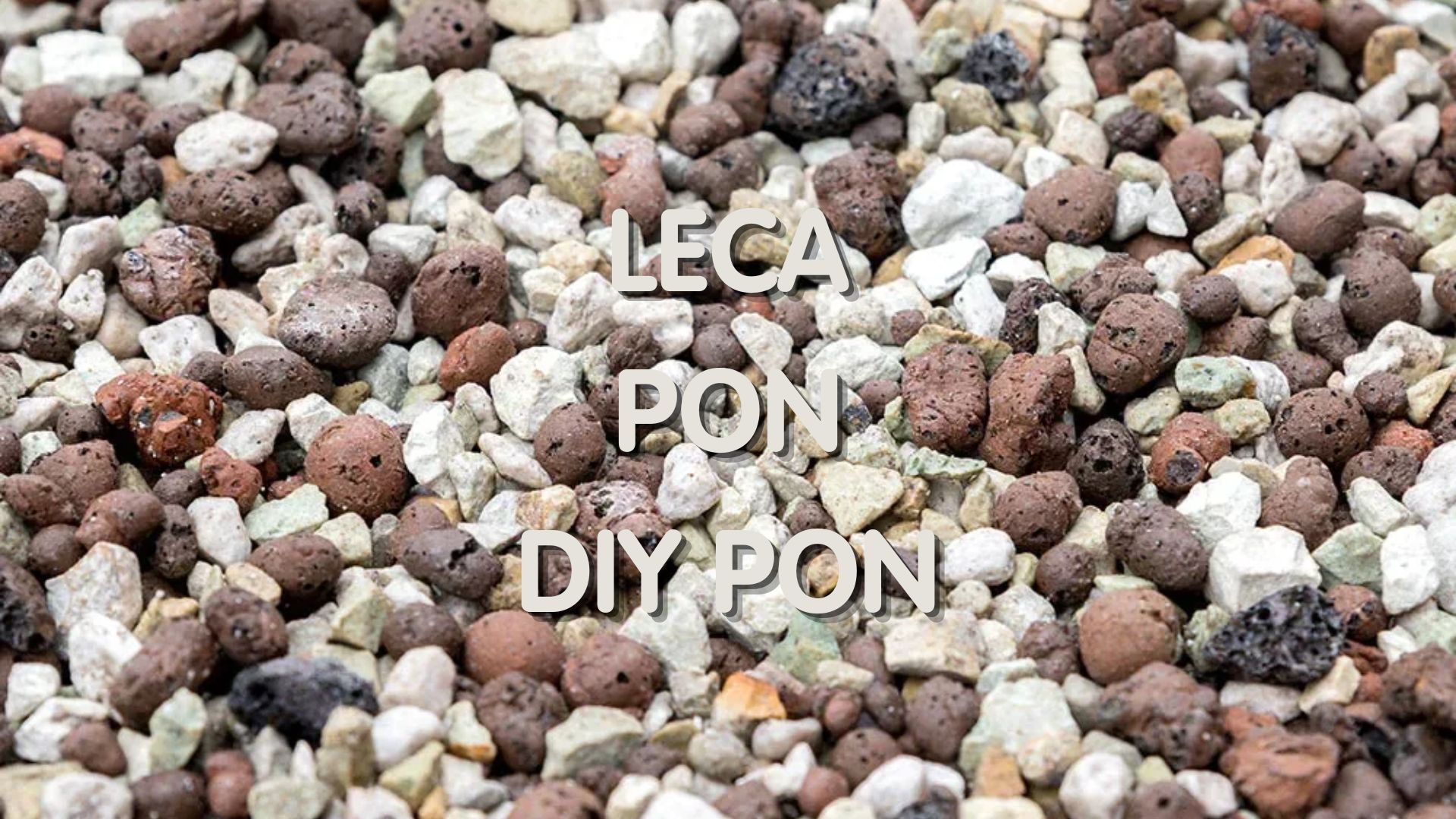 LECA vs Lechuza Pon vs DIY Pon - Which is Cheapest?